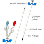Femoral versus Intrajugular Dialysis Catheters: the Debate Continues ...