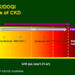 CKD in the Elderly - Renal Fellow Network