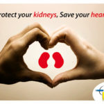 World Kidney Day 2011 - Renal Fellow Network