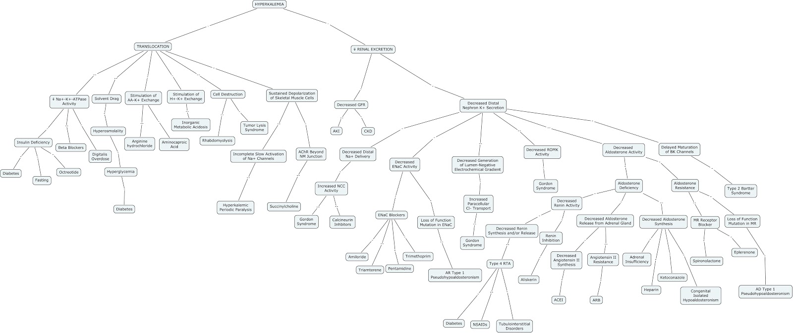 Concept Map Renal Disorder