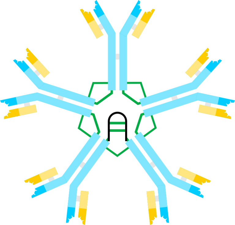 POSEIDON Trial for Contrast Induced Nephropathy: The Next #NephJC ...