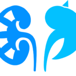 POSEIDON Trial for Contrast Induced Nephropathy: The Next #NephJC ...