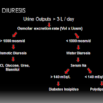 Thirsty Phursty: The Polydipsia Workup - Renal Fellow Network