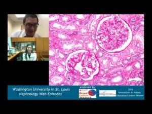 The Heart-Kidney Connection: An Update in Nephro-Cardiology 2018 ...