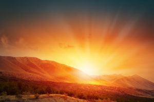 Meet Neph Sim: A Mobile-Friendly Nephrology Teaching Tool - Renal ...