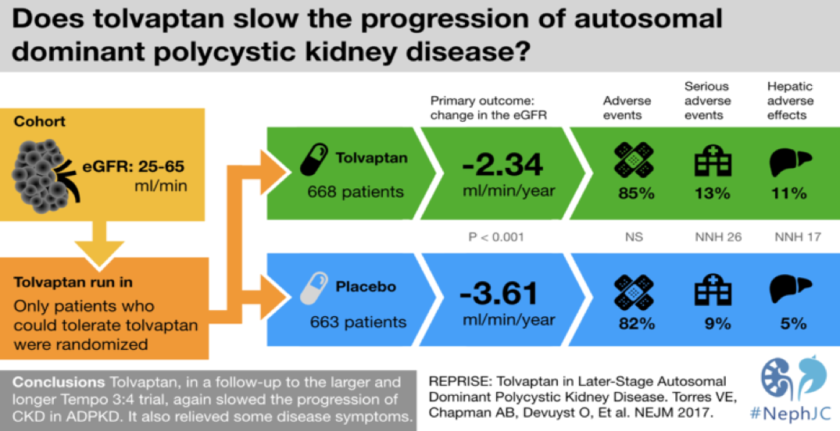 Landmark Trials in ADPKD: Close, But No Cigar - Renal Fellow Network