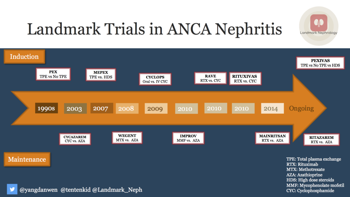 ANCA vasculitis Archives - Renal Fellow Network