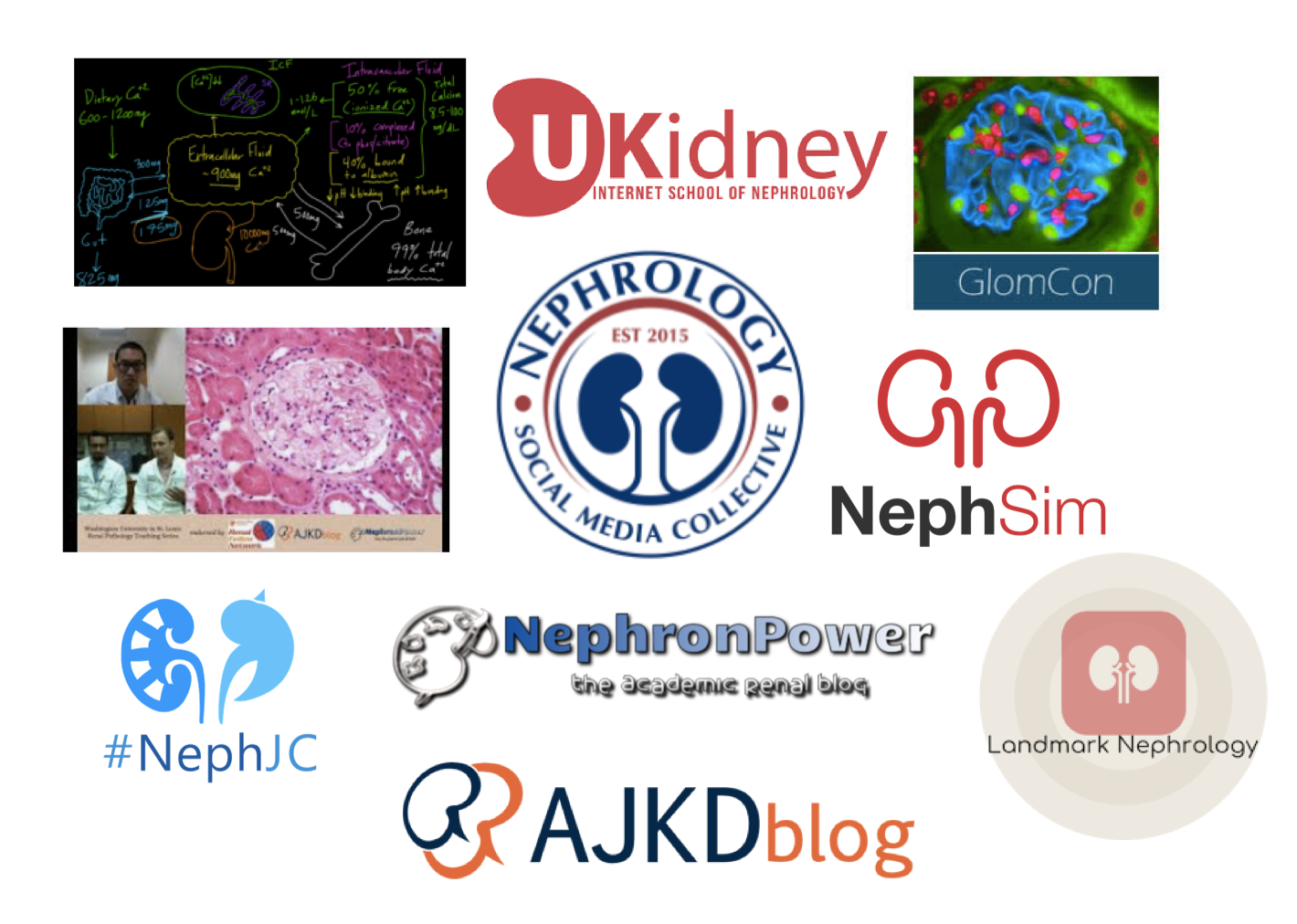 10 Nephrology Free Open Access Medical Education (FOAMed) Resources ...