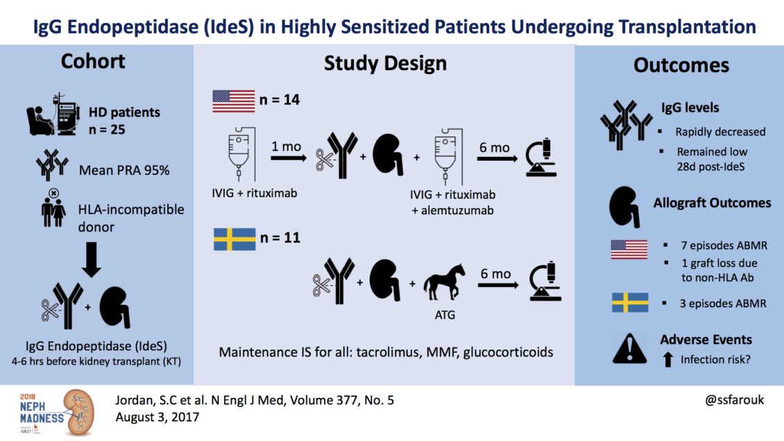 IdeS (Imlifidase): Breaking Bad Immunoglobulins in Sensitized ...