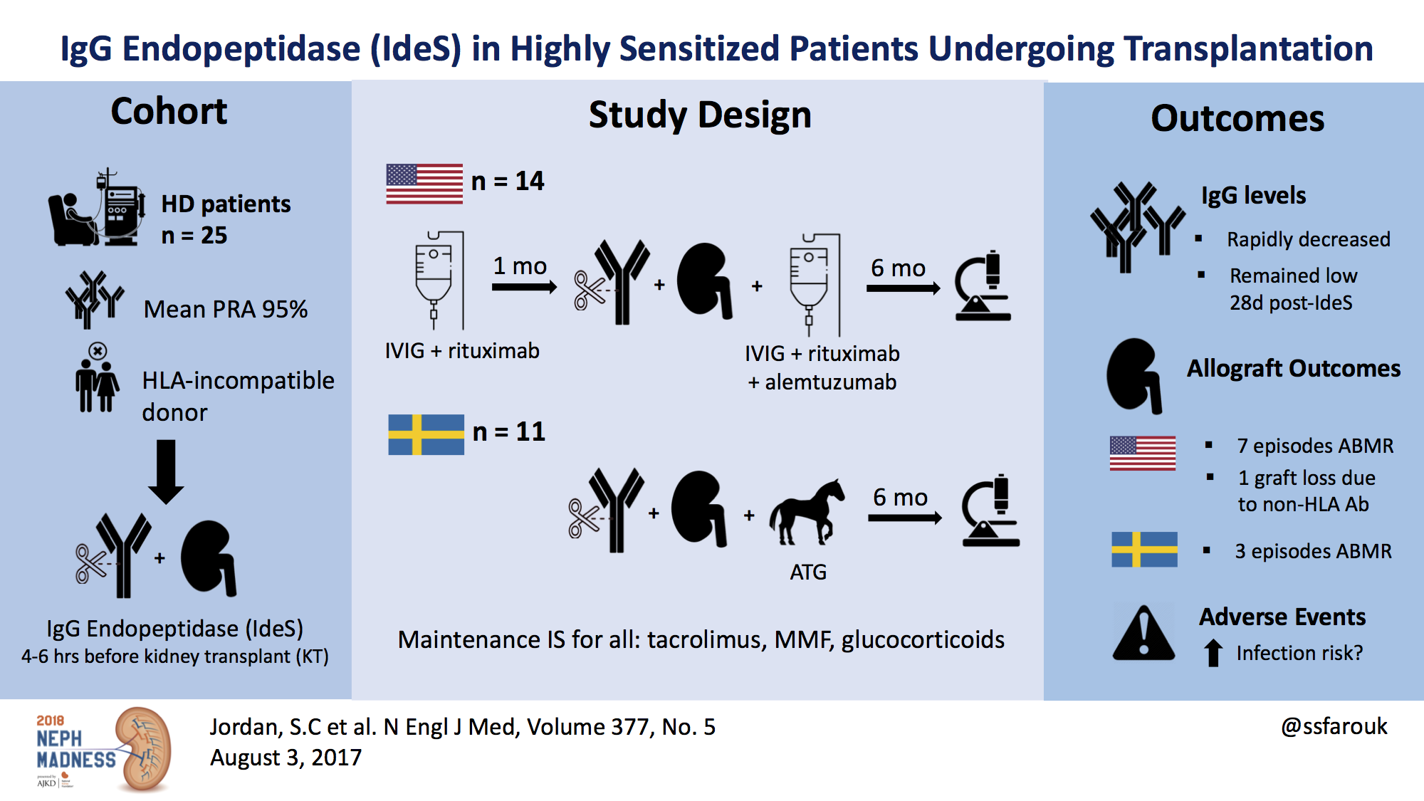 IdeS (Imlifidase): Breaking Bad Immunoglobulins in Sensitized ...