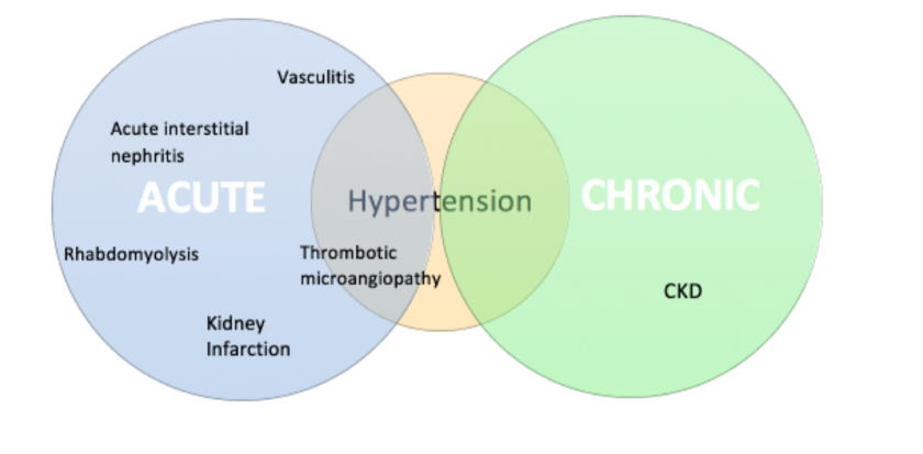 Not Just Muscle Damage – The Many Ways Cocaine Causes Kidney Injury ...