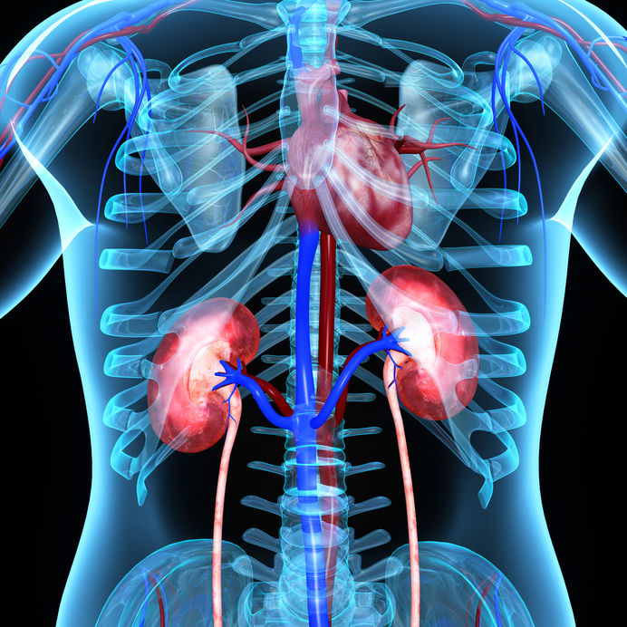 Renal Scintigraphy: What Is It Good For? - Renal Fellow Network