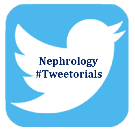 What's in Nephrocaps? - Renal Fellow Network