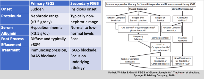Prognosis and Management of Primary FSGS: The GlomCon Series - Renal ...