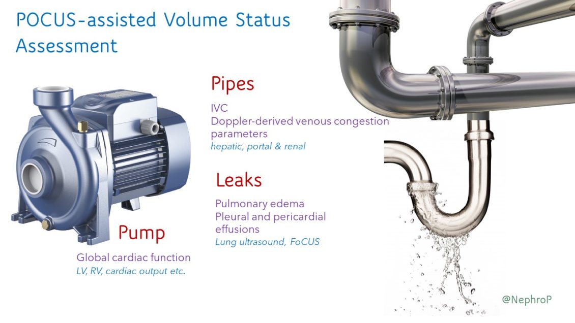 Inferior Vena Cava POCUS: The Basics of Image Acquisition - Renal ...