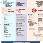 A Guide to Compartmentalize the Etiologies of Kidney Disease- The ...