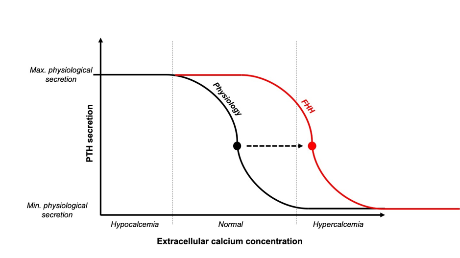 Differentiating Familial Hypocalciuric Hypercalcemia from Primary ...