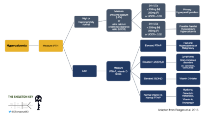 Skeleton Key Group: Electrolyte Case #10 - Renal Fellow Network