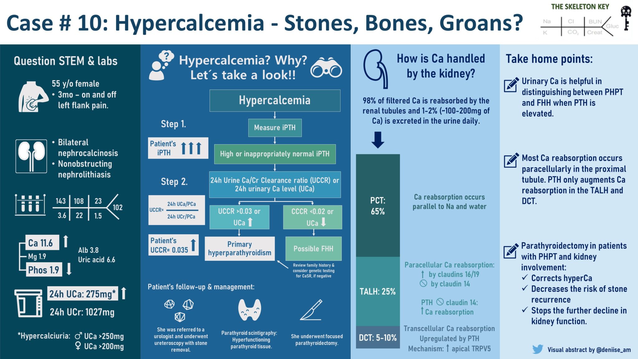 Skeleton Key Group: Electrolyte Case #10 - Renal Fellow Network