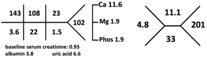 Skeleton Key Group: Electrolyte Case #10 - Renal Fellow Network