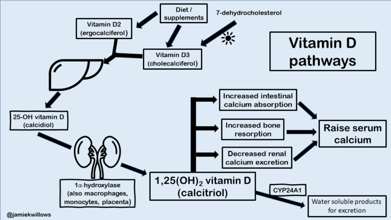 Skeleton Key Group Case 13: Hypercalcemia - Renal Fellow Network