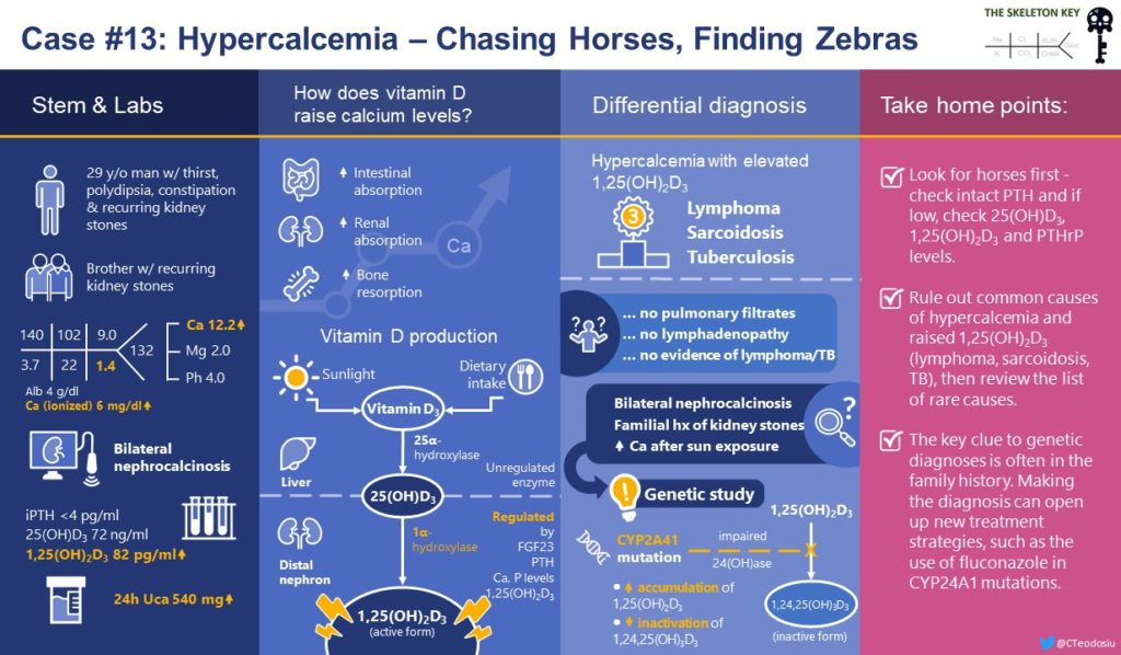 Skeleton Key Group Case 13: Hypercalcemia - Renal Fellow Network