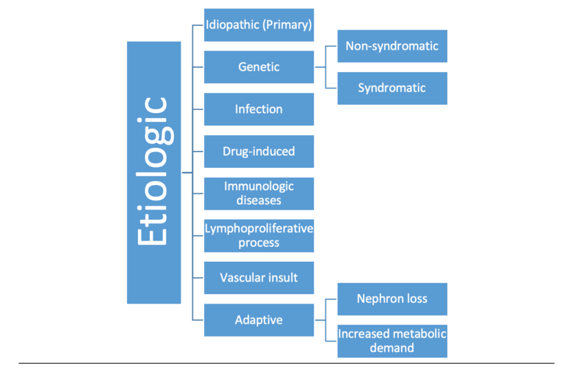 Kidney Biopsy of the Month: Focal Segmental Glomerulosclerosis - Renal ...