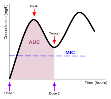 Skeleton Key Group Case 16: Blame-o the Vanc-o - Renal Fellow Network
