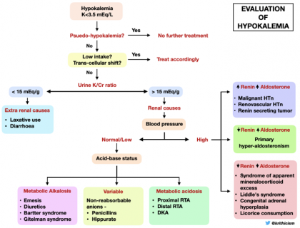Skeleton Key Group Case #19: A Rare Cause of Hypokalemia - Renal Fellow ...
