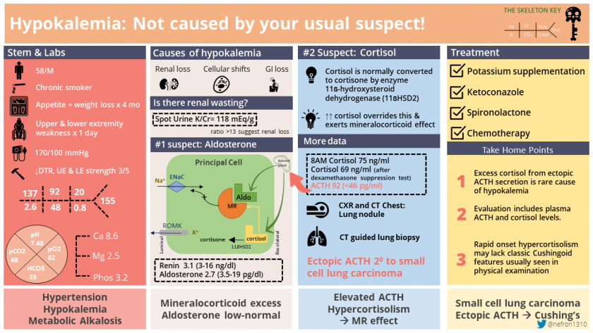 The Skeleton Key Group Archives - Renal Fellow Network
