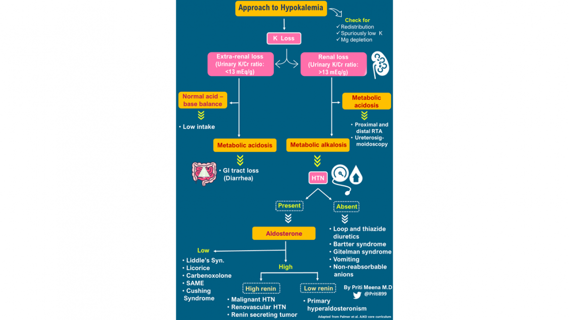 Skeleton Key Group Case 21: Not Your Usual Suspect! - Renal Fellow Network