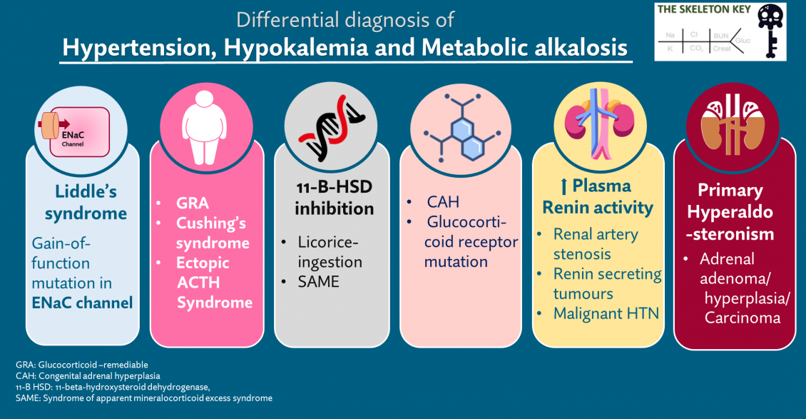 Skeleton Key Group Case 21: Not Your Usual Suspect! - Renal Fellow Network