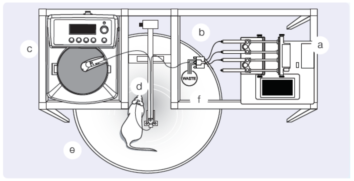 Microdialysis: A Method For Studying Kidney Injury and Disease - Renal ...