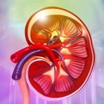 Renal Fellow Network - For Fellows, By Fellows