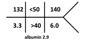 Skeleton Key Group Case 22: Hypochloremic Metabolic Alkalosis - Renal ...
