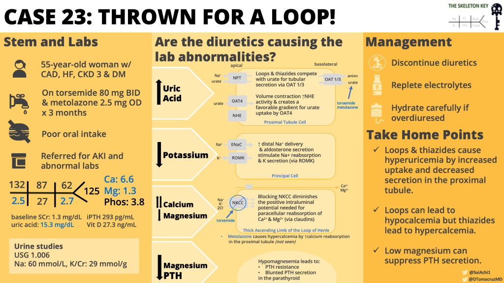 The Skeleton Key Group Archives - Renal Fellow Network