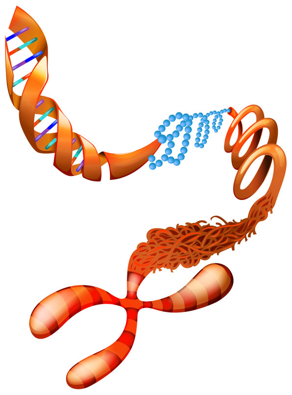 Beyond RNA: How Integration of Single Nucleus Chromatin Accessibility ...