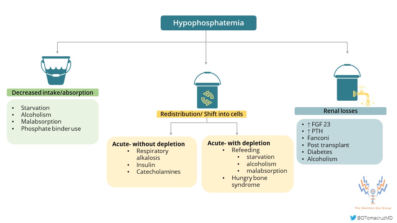 Skeleton Key Group Case #25: Falling for Phosphate! - Renal Fellow Network