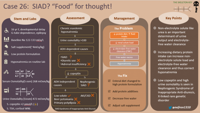 The Skeleton Key Group Archives - Renal Fellow Network