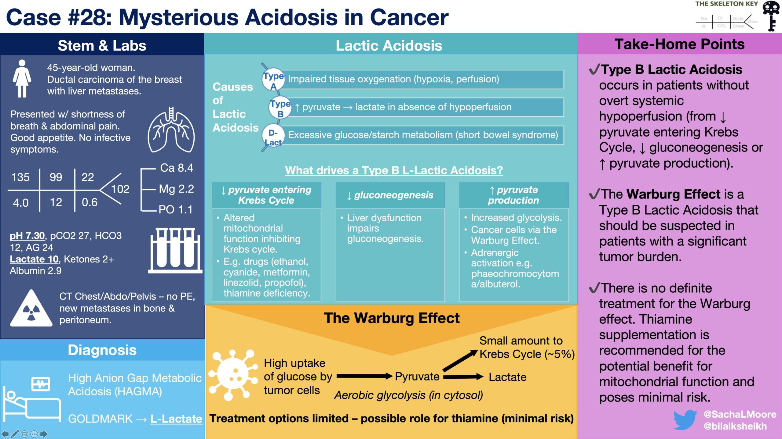 Skeleton Key Group Case #28: Mysterious Acidosis in Cancer - Renal ...