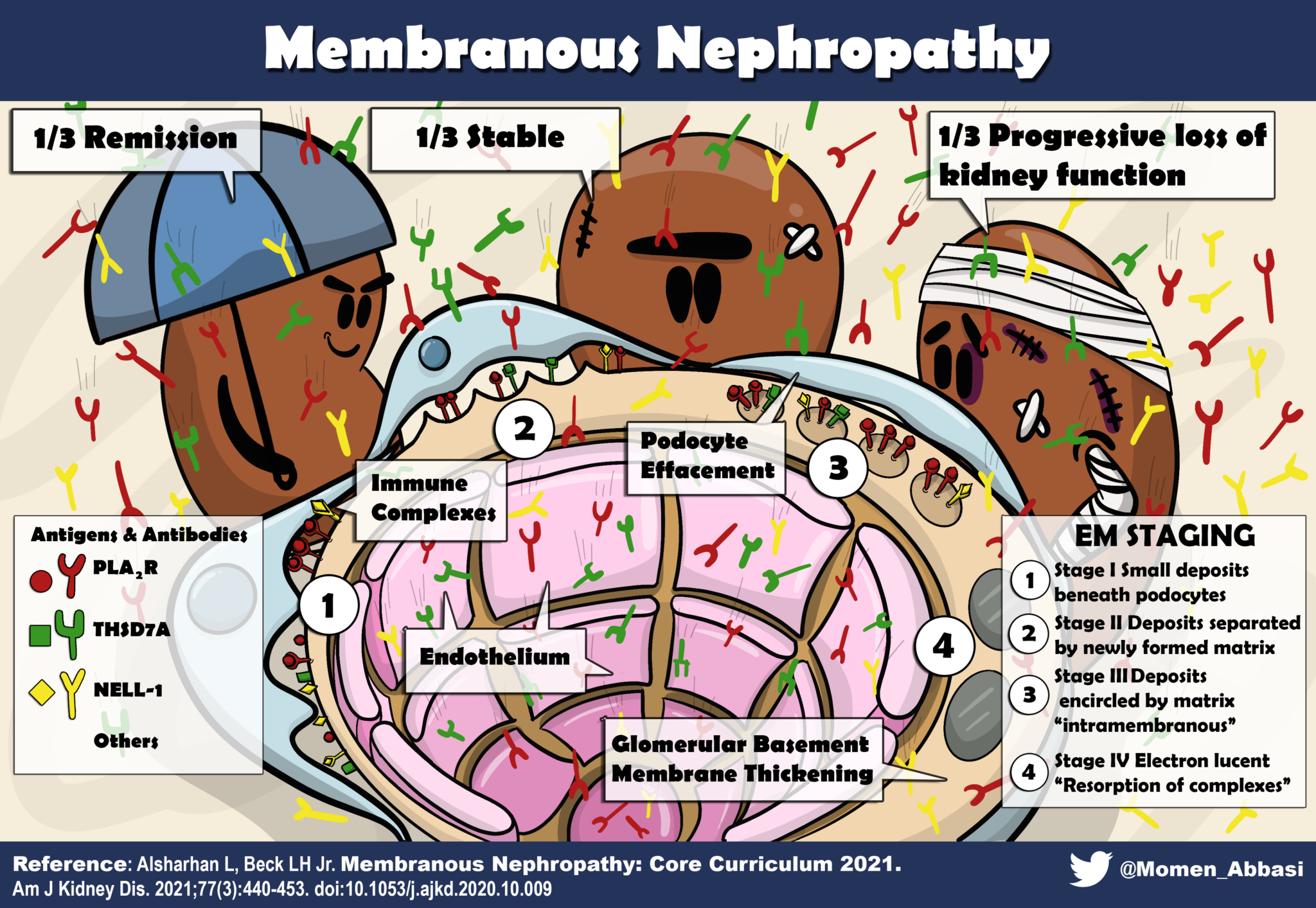 Cannulate No Fistula Before It’s Time: AVF Maturation 101 - Renal ...