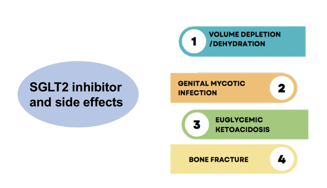 Side Effects of SGLT2 Inhibitors - Renal Fellow Network