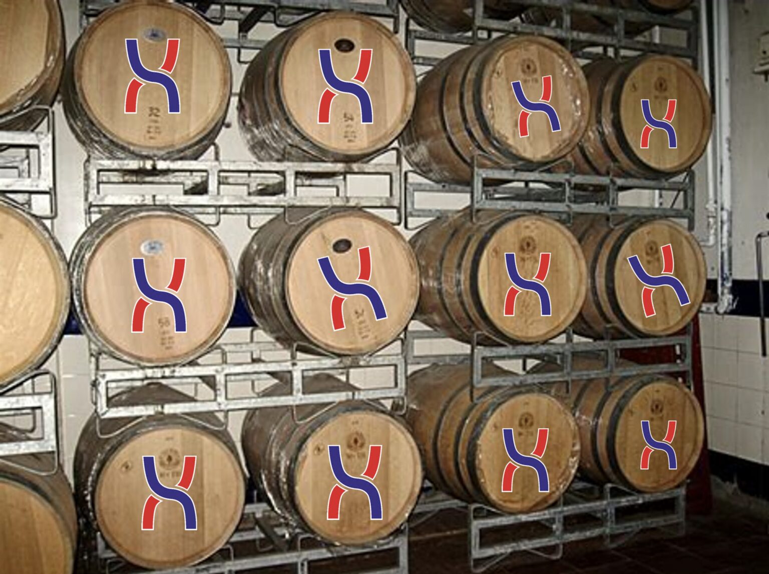 Renal Fellow Network - For Fellows, By Fellows