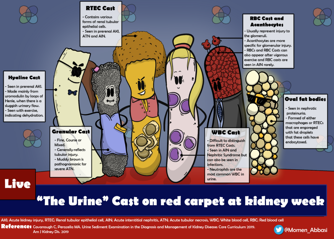 Kidney Comics Archives - Renal Fellow Network