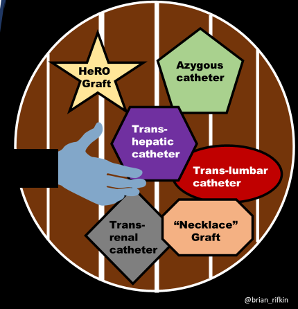 Interventional Nephrology Series Archives - Renal Fellow Network
