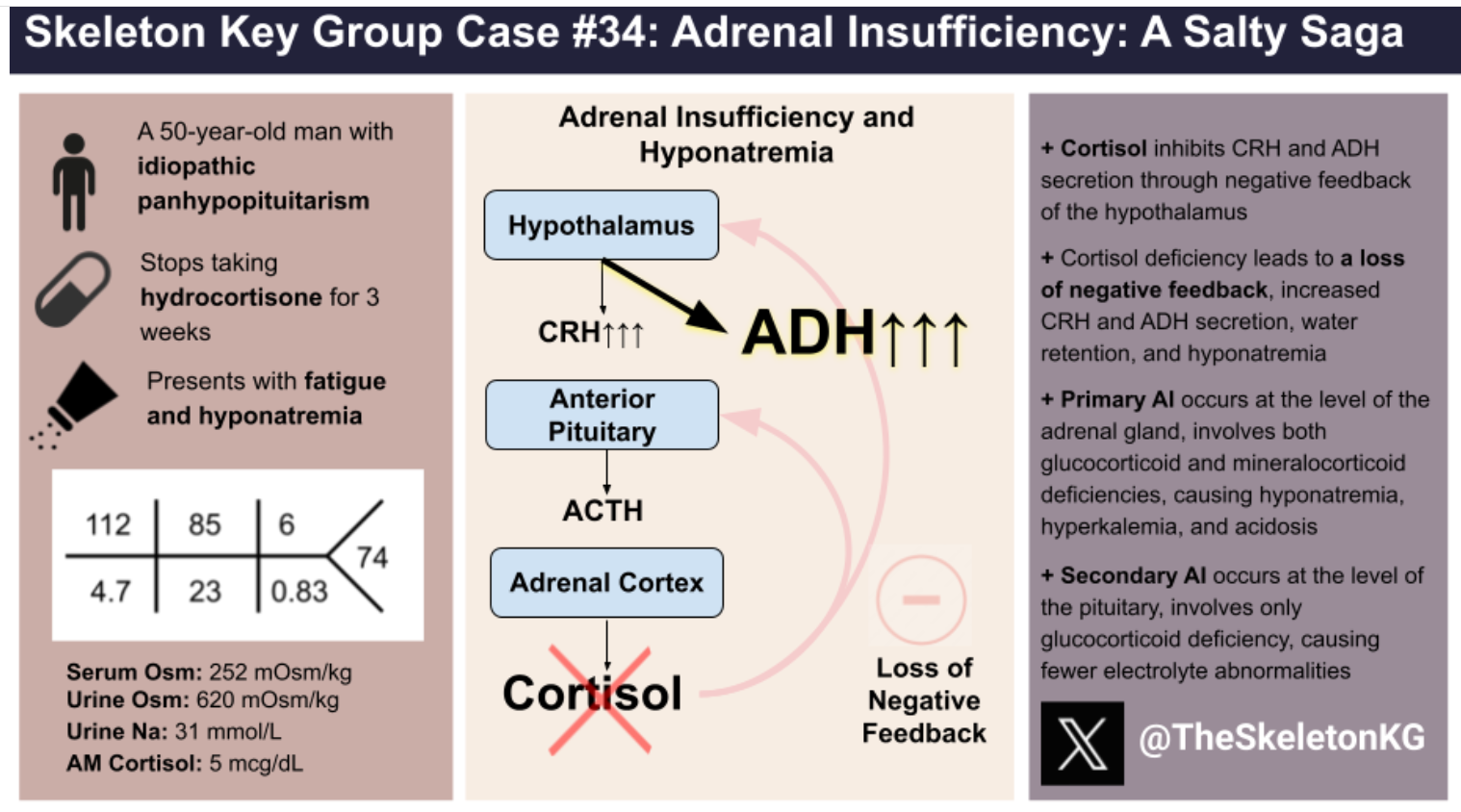 ASN Board Review Course & Update: Register by 6/20 for Discounted Rate ...