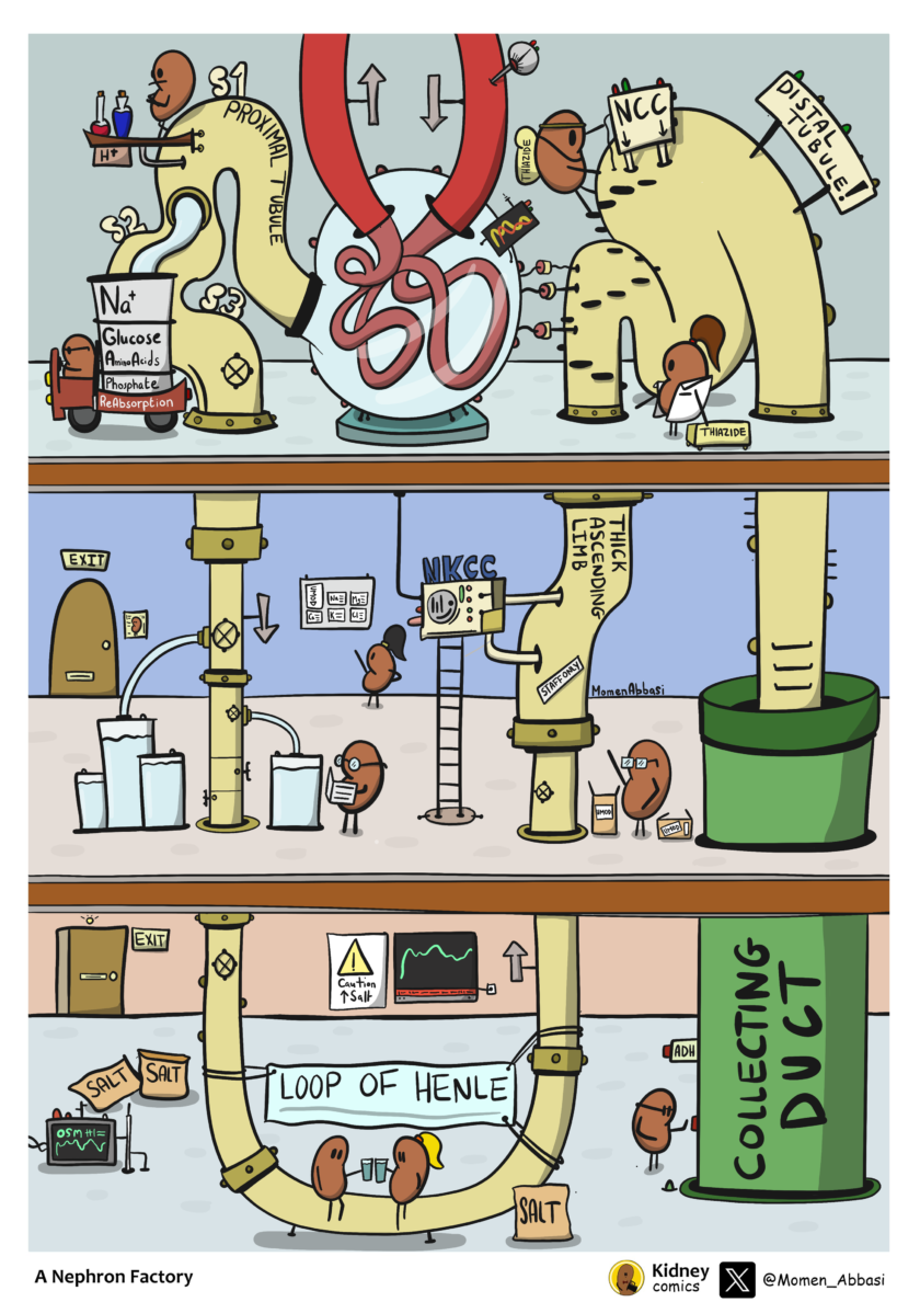 Renal Fellow Network - For Fellows, By Fellows