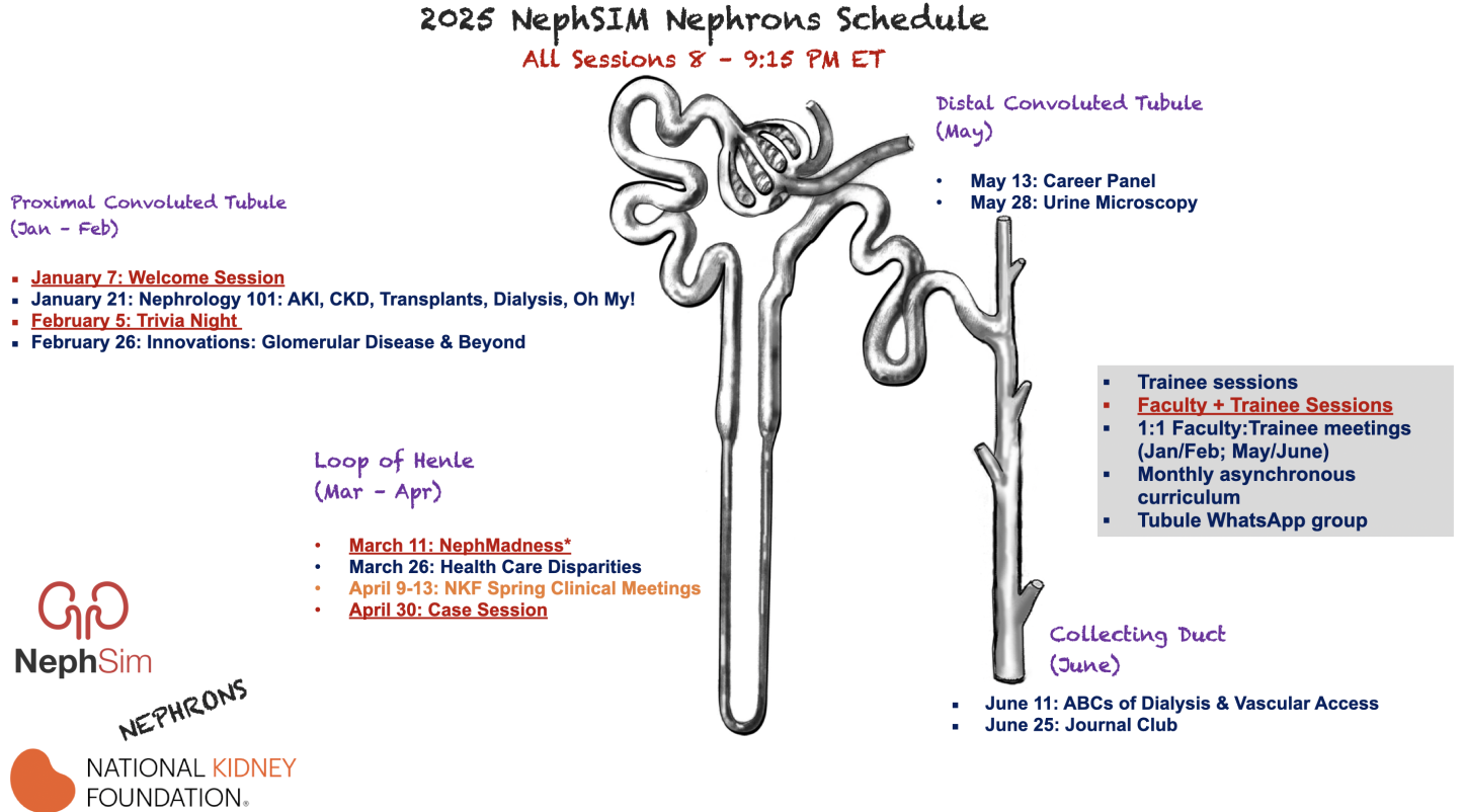2025 NephSIM Nephrons: Application Due 11/1 (For Medical Students ...