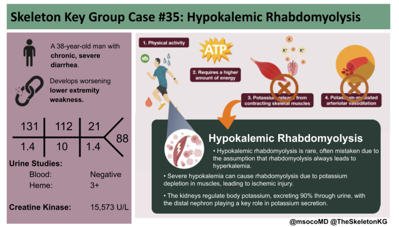 2025 NephSIM Nephrons: Application Due 11/1 (For Medical Students ...