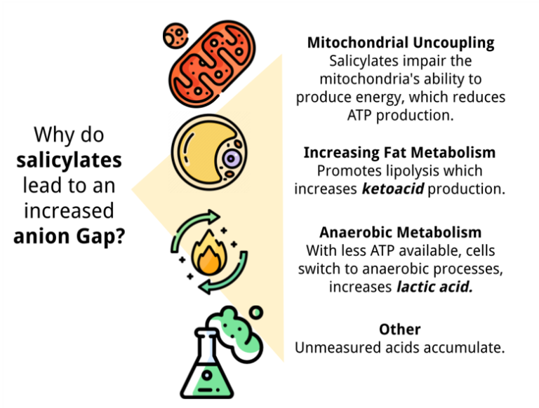 Skeleton Key Group Case #37: A case of elevated anion gap metabolic ...